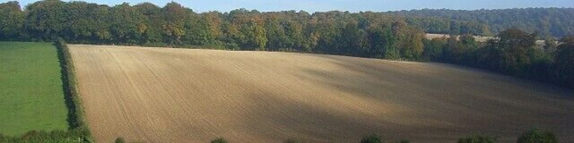 Arable field and pasture, Stokenchurch Looking down from a public footpath and across a valley to Stockfield Wood.