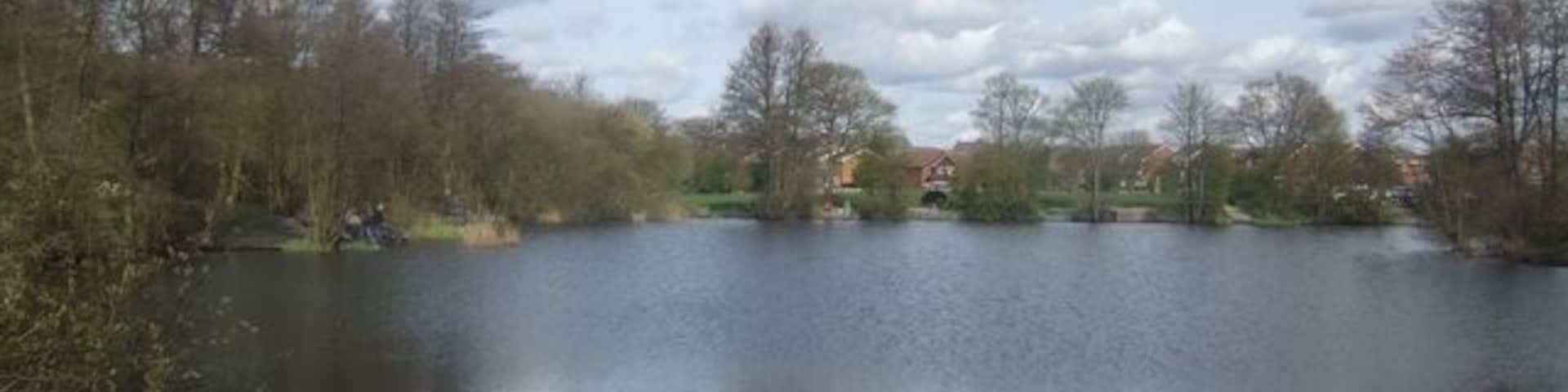 Forest of Mercia - Brownshore Lane This land on the former Vernon Estate was given by the family to the people of Essington in 2000 in recognition of their connection with the village since 1547. The land was a previously used as a spoil tip for the nearby Essington Wood Colliery.