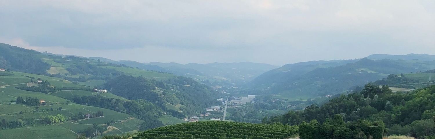 What a view!! What great wine!!