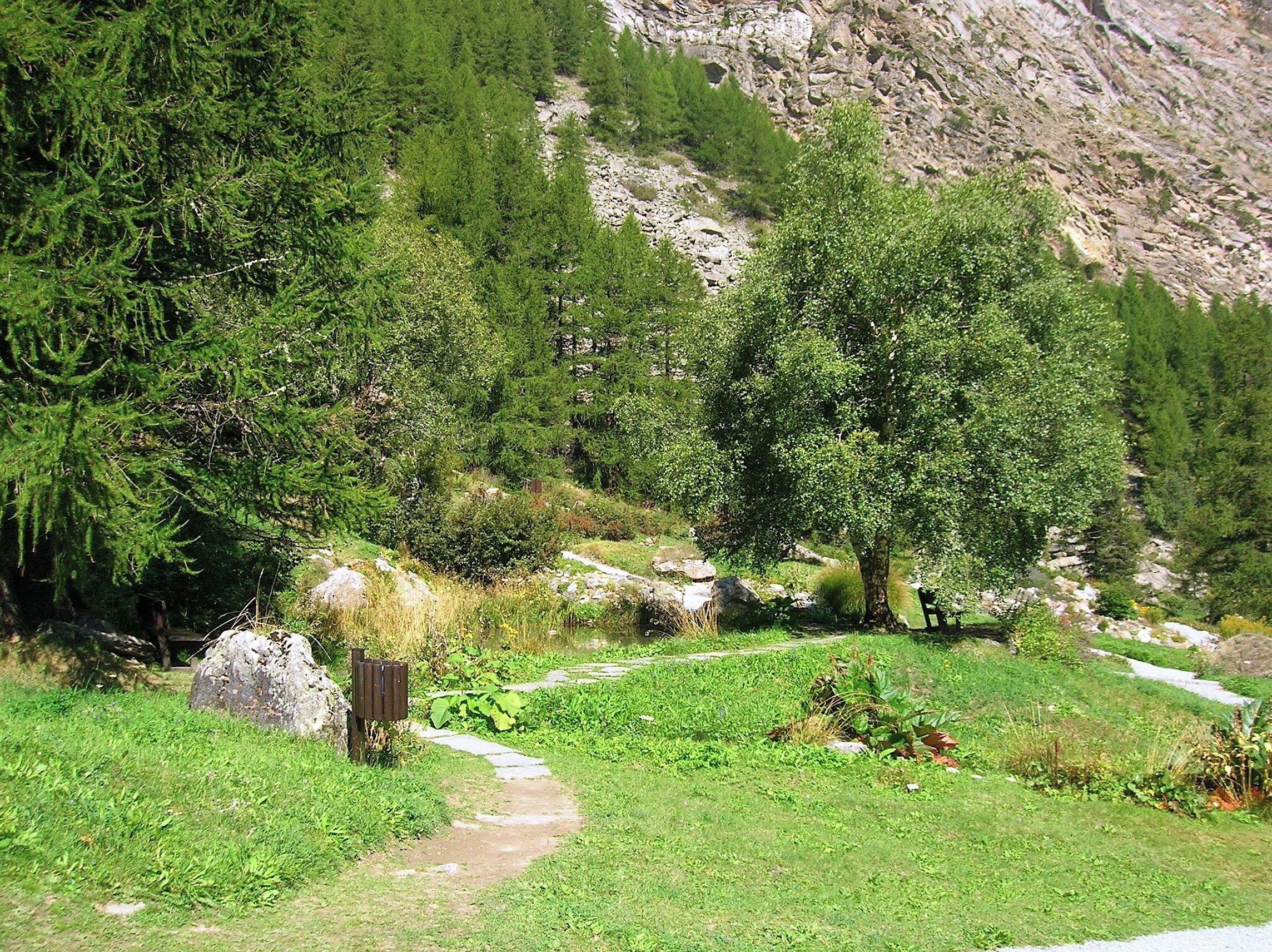 Trilha cercada por uma floresta verde densa e montanhas rochosas.