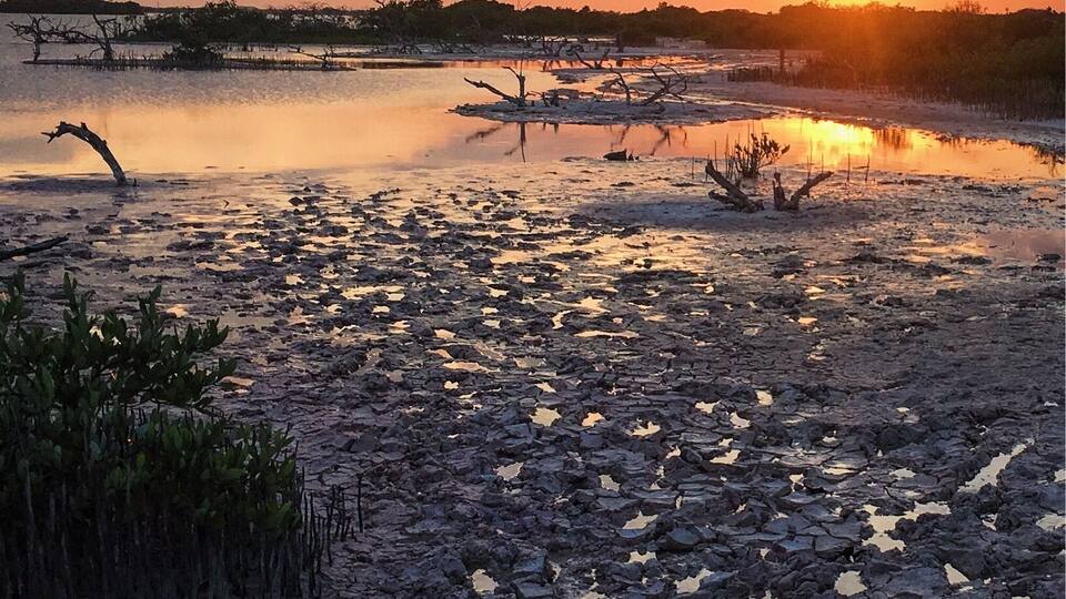 beautiful flamingo lagoon, pink salt lakes and sunsets, perfect spot especially when staying overnight.