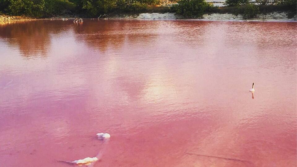 unreal pink colored salt ponds, hundreds if not thousands of pink flamingos and a good spot to spend the night.