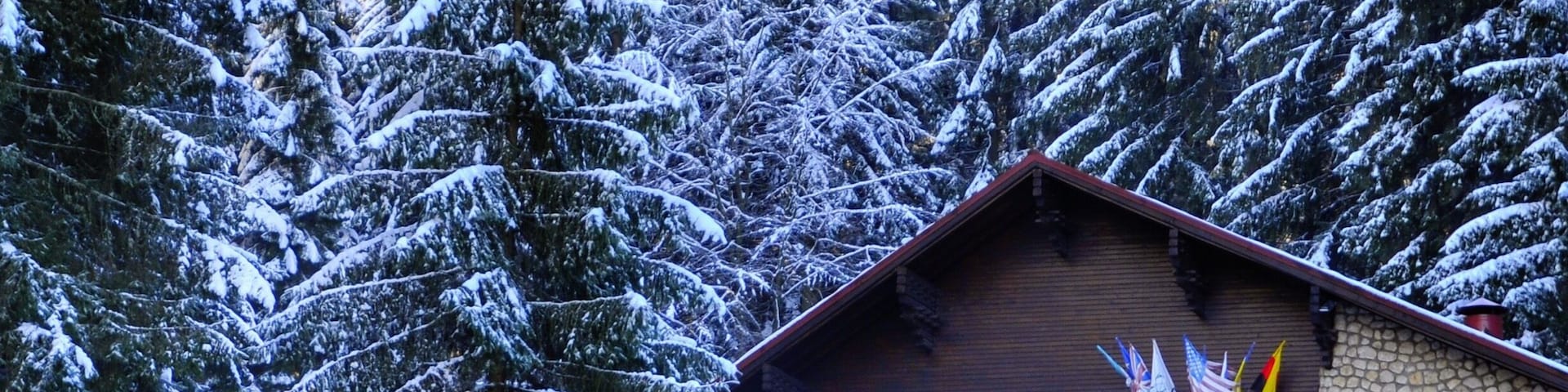 The famous winter ski resort with great nightlife and awesome slopes #romania #architecture