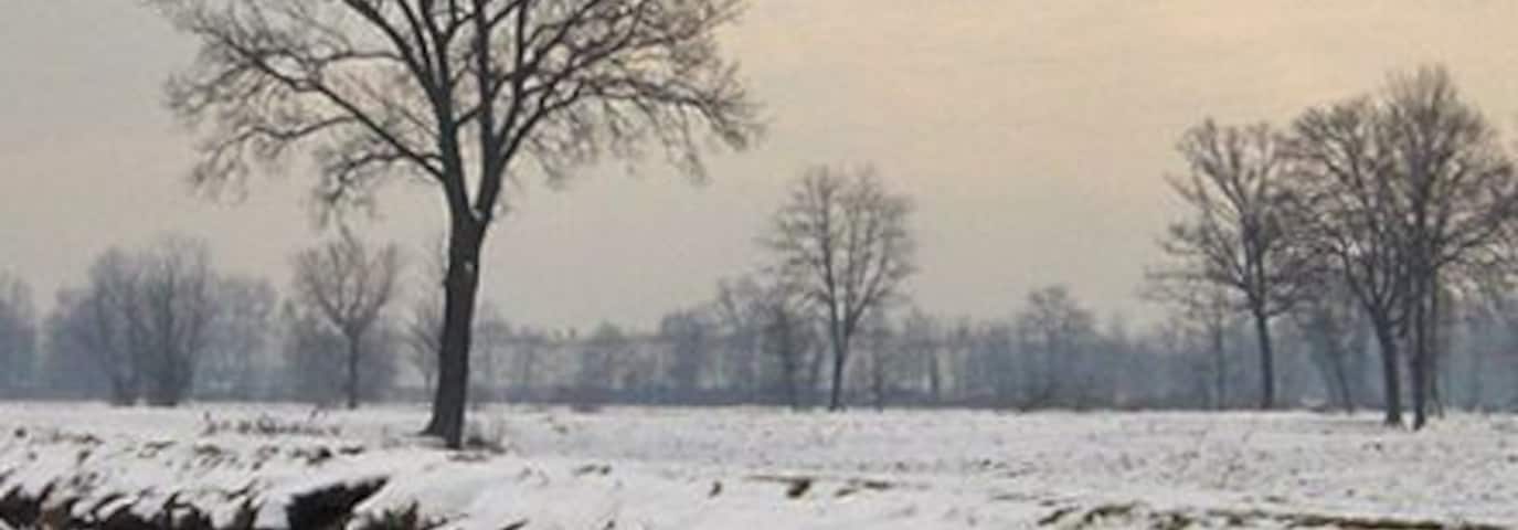 Campo in neve - Basiglio