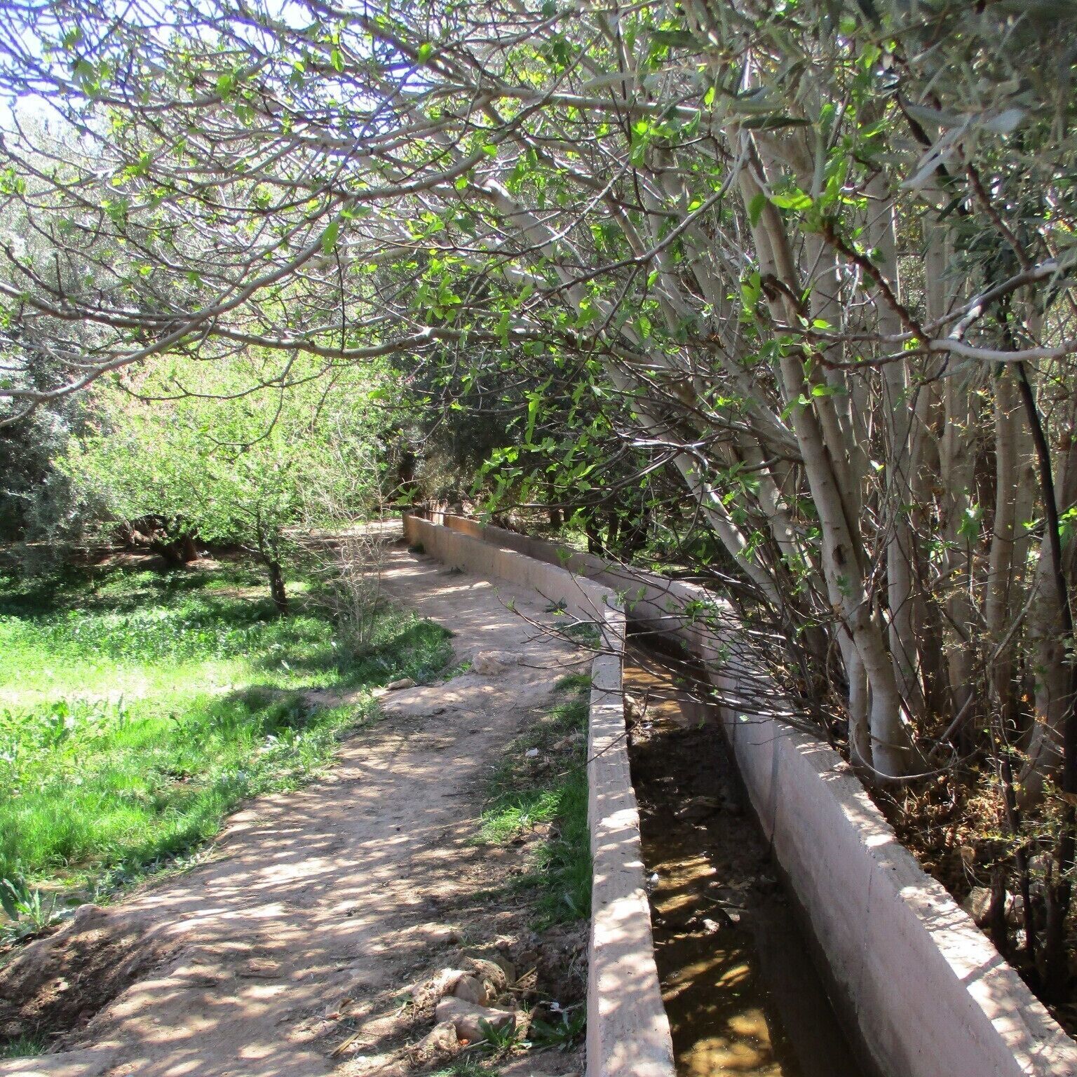 Uma trilha de terra estreita, ladeada por árvores e um canal de drenagem de concreto.