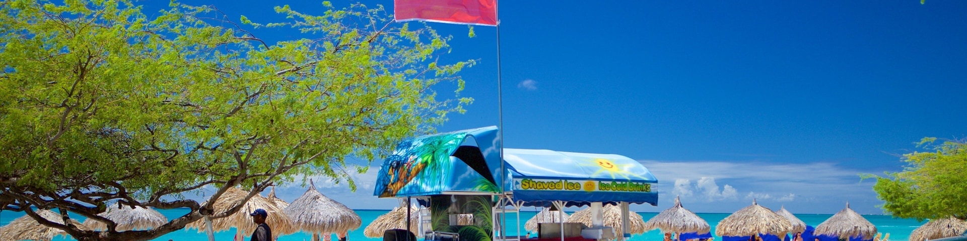 Eagle Beach showing a beach