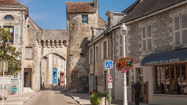 Rua de paralelepípedos com edifícios históricos de pedra, um letreiro com 'L'Auberge de la Roche' e uma faixa de pedestres.
