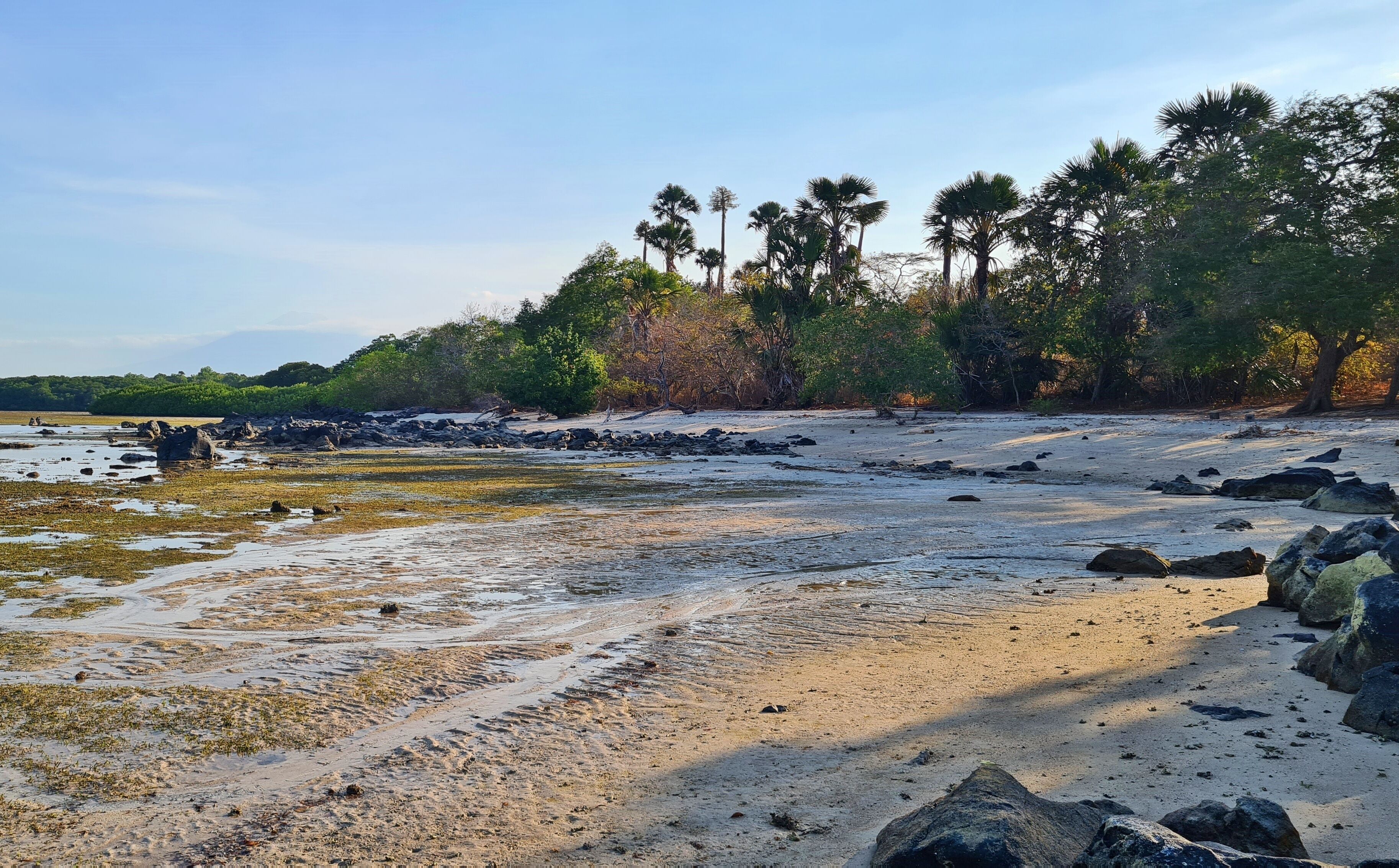 Paisagem costeira com praia arenosa, rochas dispersas e árvores tropicais densas.