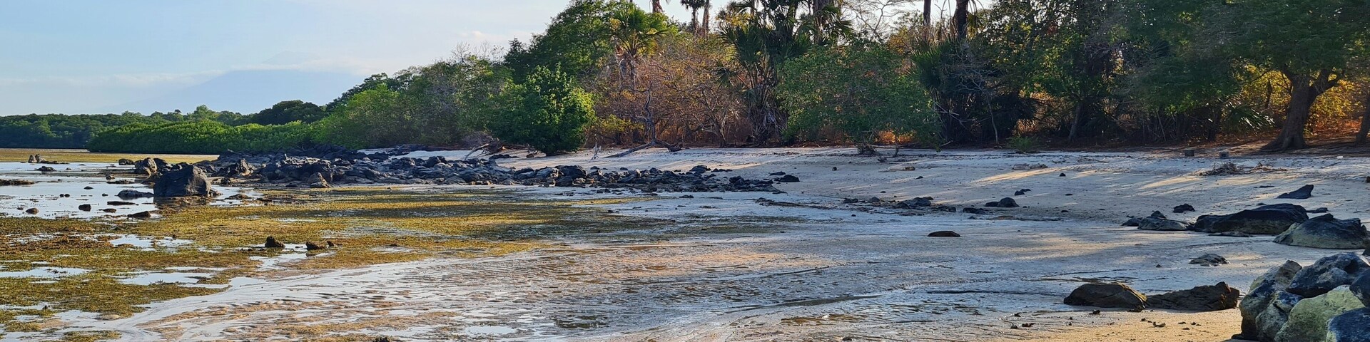 Paisagem costeira com praia arenosa, rochas dispersas e árvores tropicais densas.