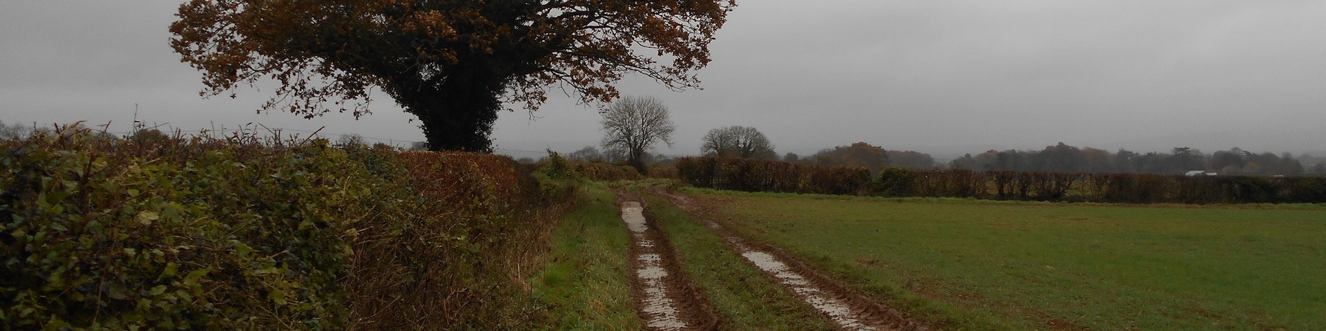 Stock Lane, farm track running from Stock Farm to Quarr, Dorset.