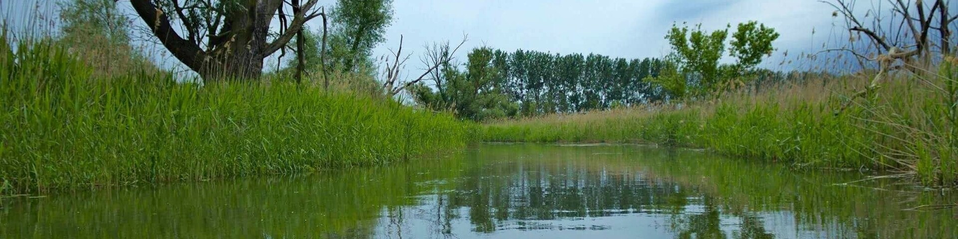 Kajaktour im Oderbruch
Kayaking through Oderbruch