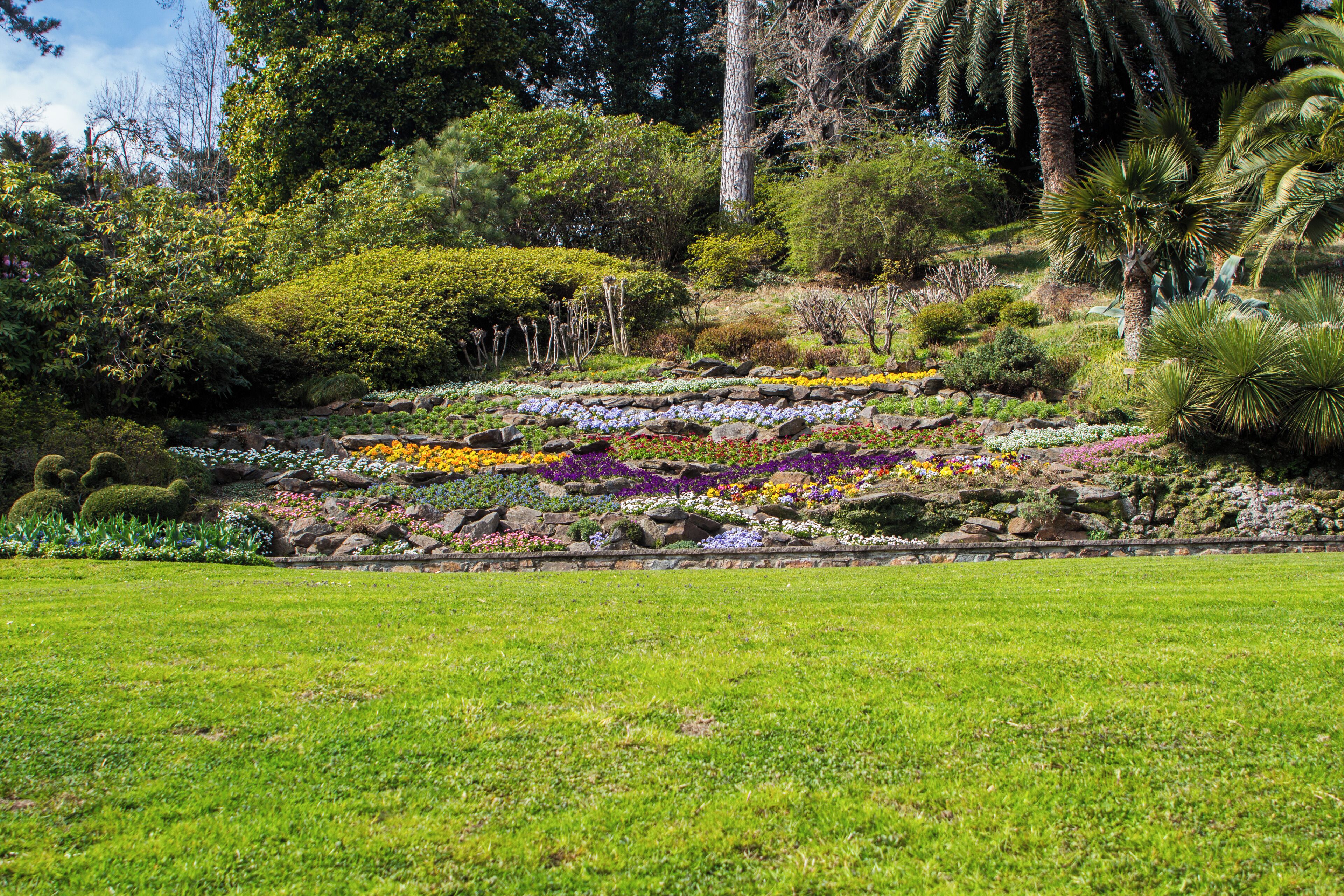 Um jardim exuberante com diversas flores coloridas, grama verde e vegetação variada.