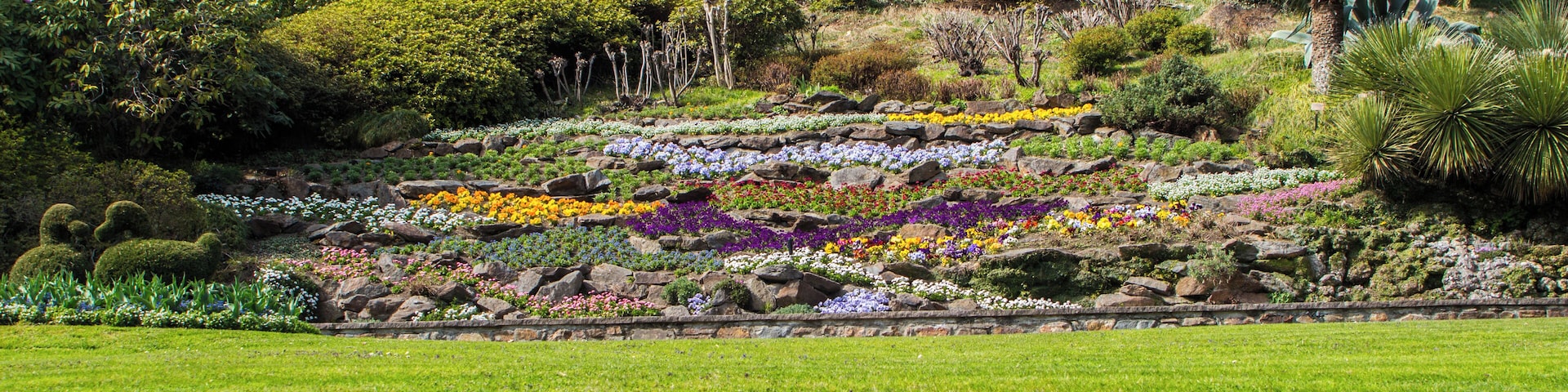 Um jardim exuberante com diversas flores coloridas, grama verde e vegetação variada.