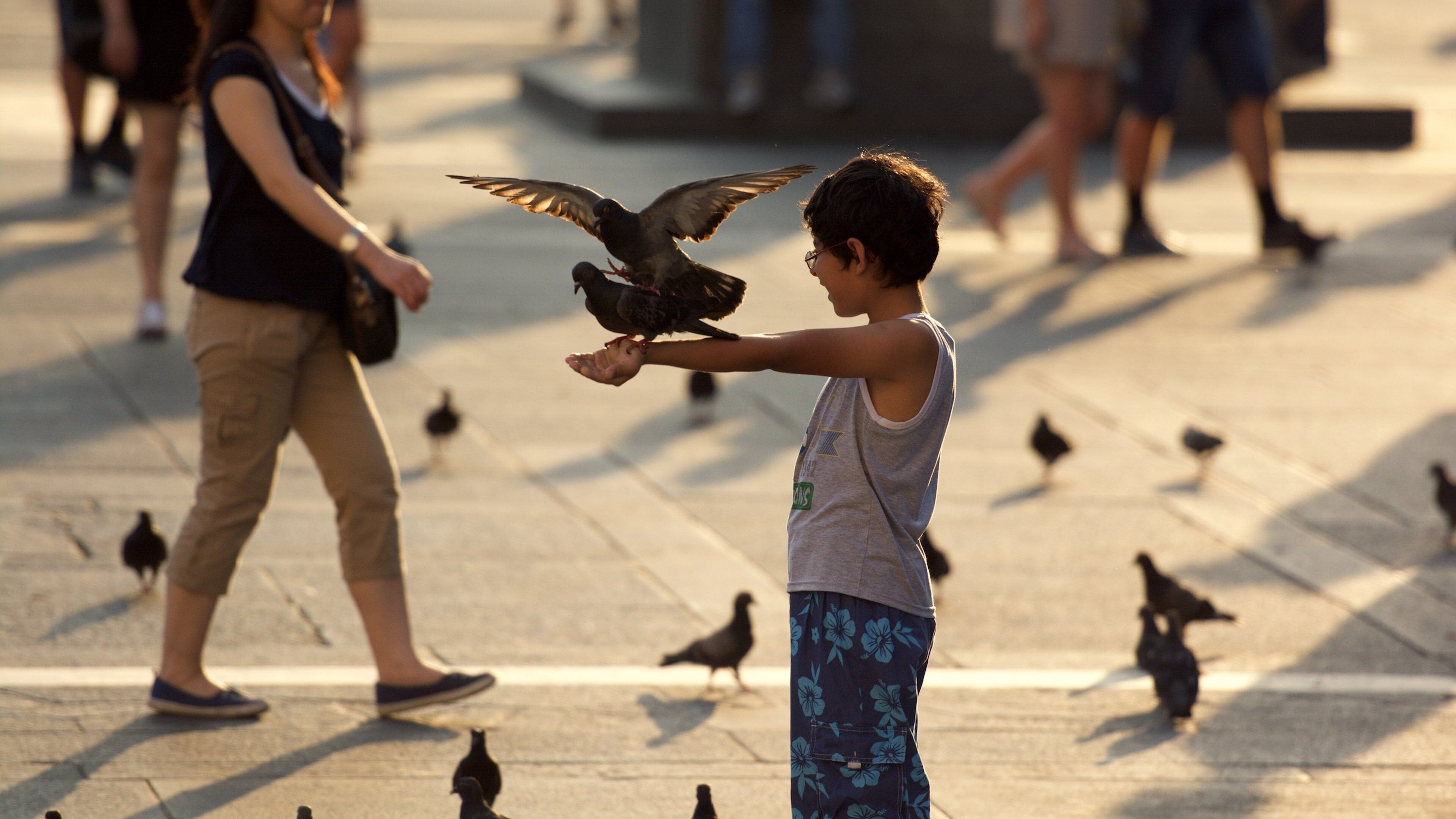 Um menino alimenta pombos em uma praça pública, com pessoas ao fundo.