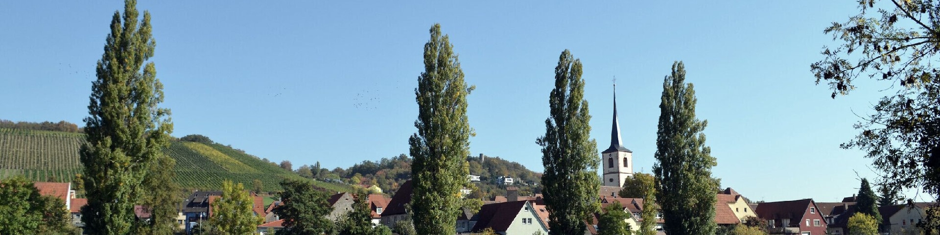 Kleinochsenfurt von der Ochsenfurter Mainseite aus