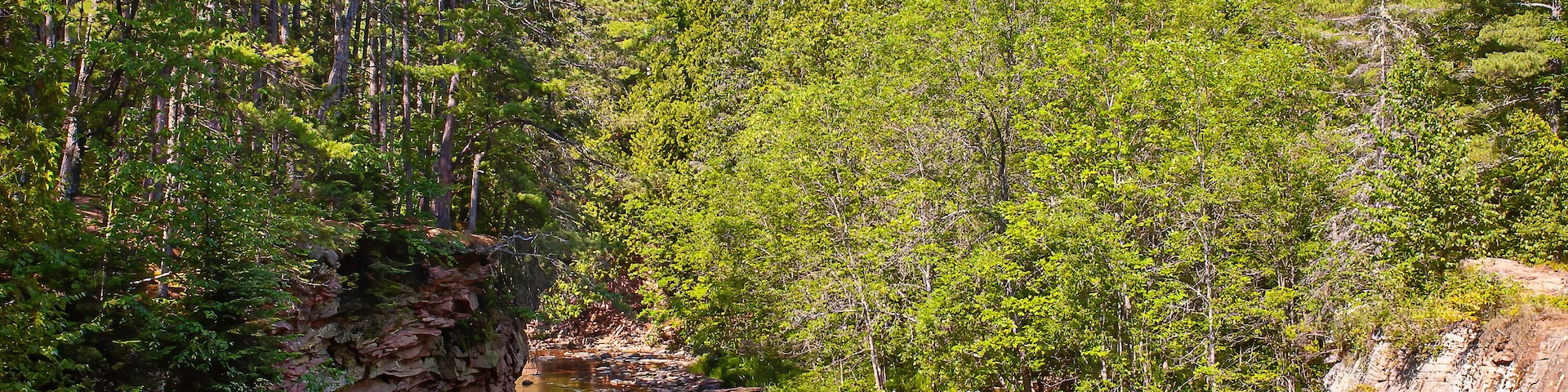Um rio serpenteando por uma floresta com penhascos rochosos e árvores verdes densas.