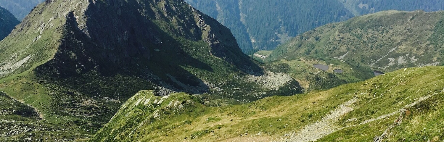 #TakeAHike #mountains #trekking #maddalenegroup #valdinon #trentino #italy #alps #green