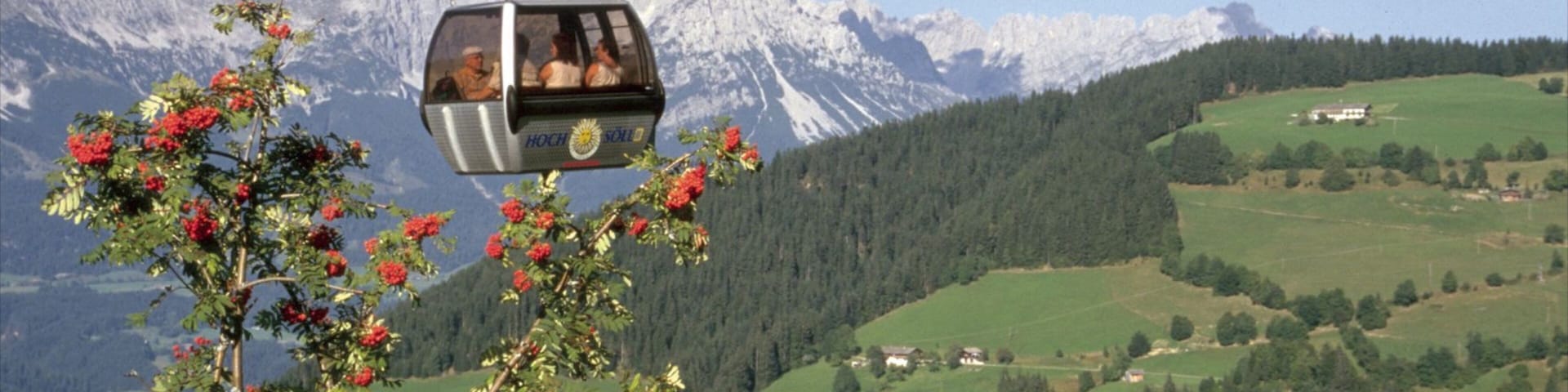 Teleférico com passageiros, arbustos floridos vermelhos e paisagem montanhosa.