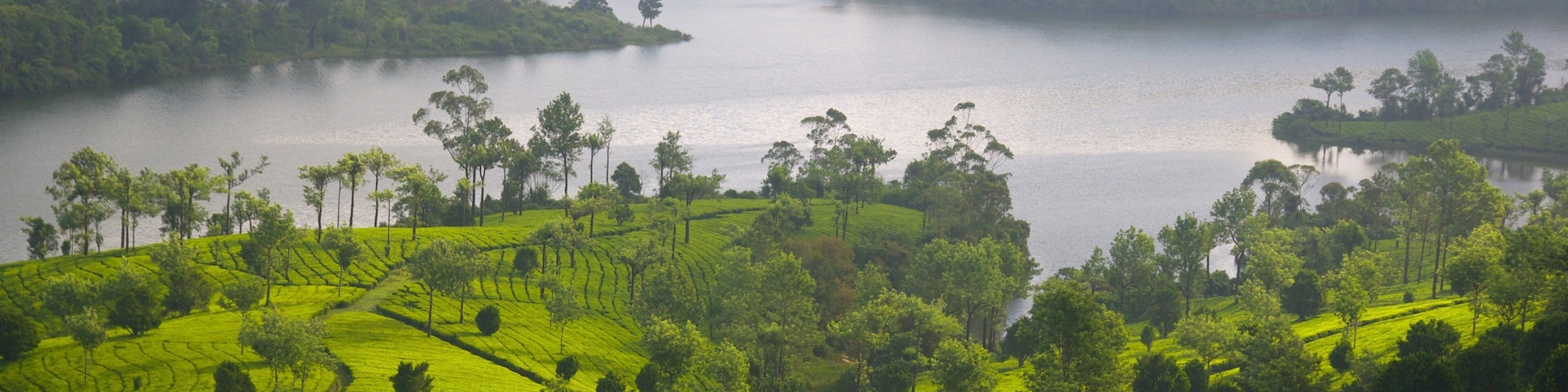 Munnar showing a lake or waterhole and tranquil scenes