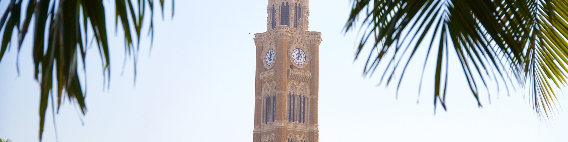 Mumbai featuring heritage architecture