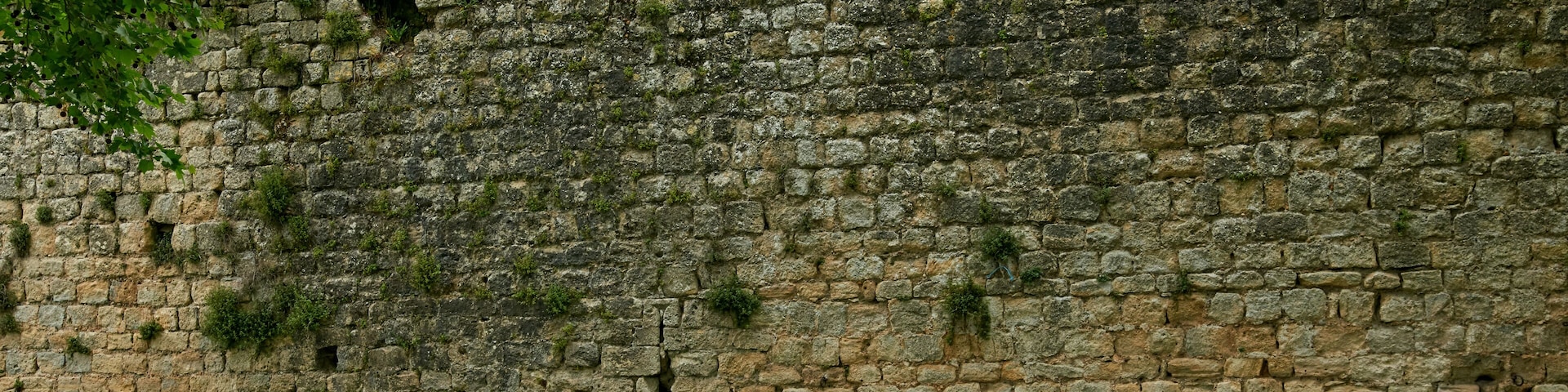 Um muro de pedra coberto de musgo e vegetação.