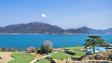 Paisagem costeira com mar azul cristalino, campos em socalcos e montanhas ao fundo.