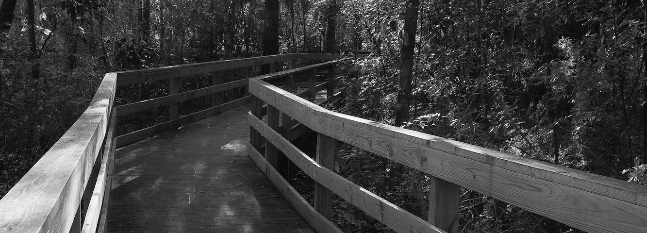 Magnolia Springs is a small community located East of Mobile a short drive from US98. Beautiful river walkways, restaurants, and canopy covered roads, it makes a great day trip from the Mobile City area.