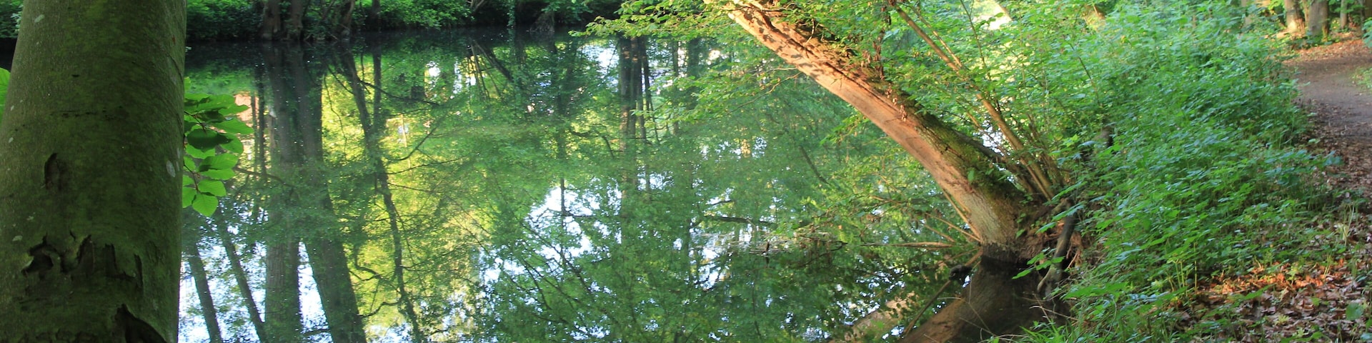 Spiegelbild der Rems im Naturschutzgebiet „Unteres Remstal“ (NSG 1.149)