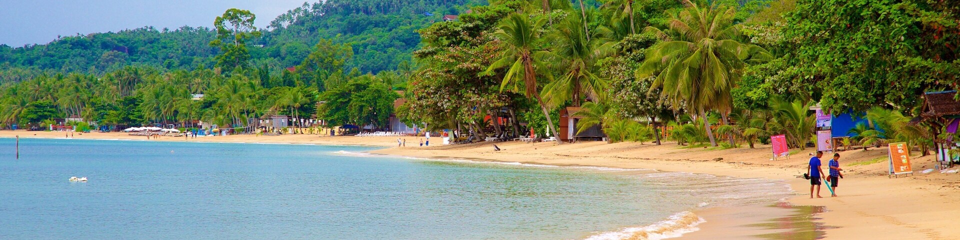 Uma praia tropical com águas azul-claras, areal arenoso e colinas verdejantes ao fundo.