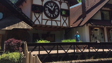 Um edifício tradicional em estilo de enxaimel com um relógio grande, um bicho-de-janeiro e uma placa com o dizer 'eClé'.