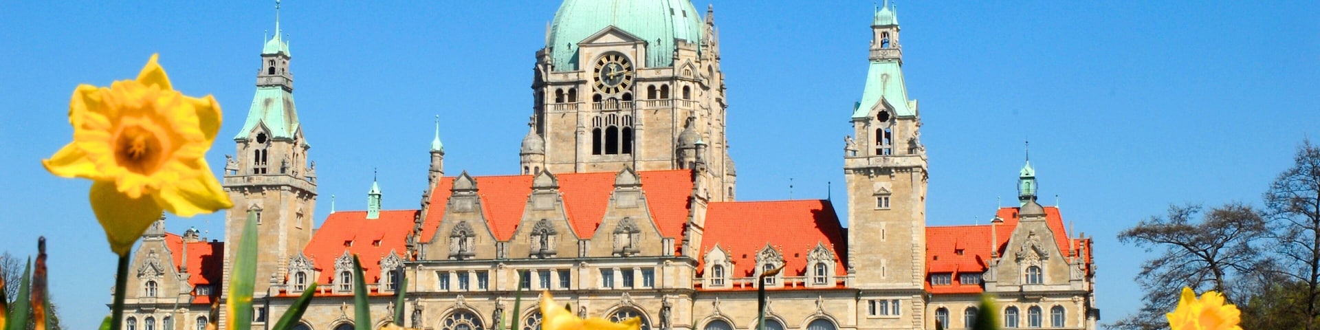 Hannover which includes a park, chateau or palace and flowers