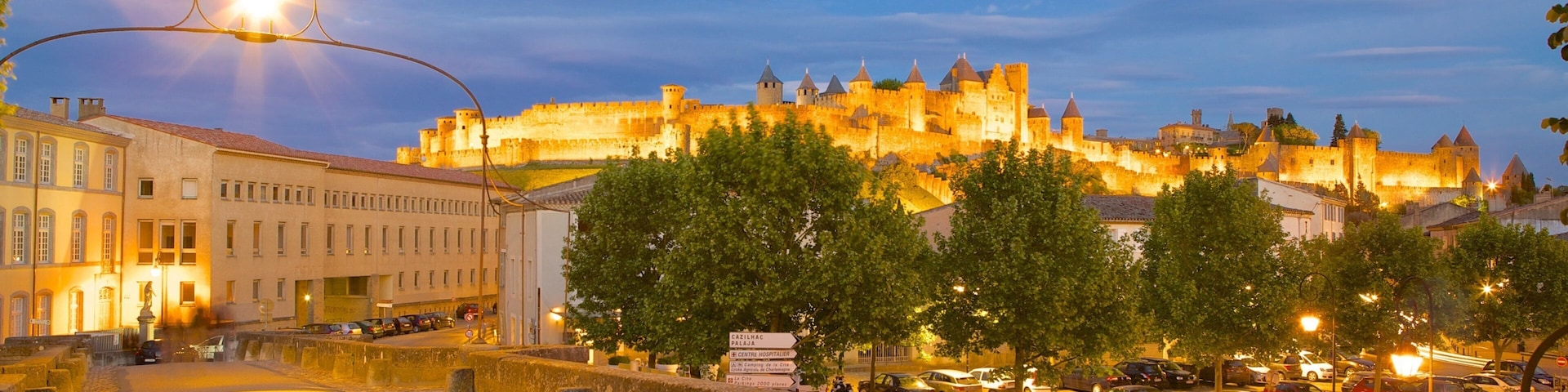 Carcassonne showing chateau or palace and night scenes