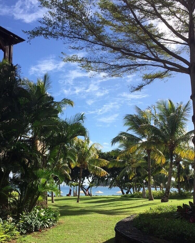 Um resort tropical com palmeiras, céu claro e vista para o oceano.