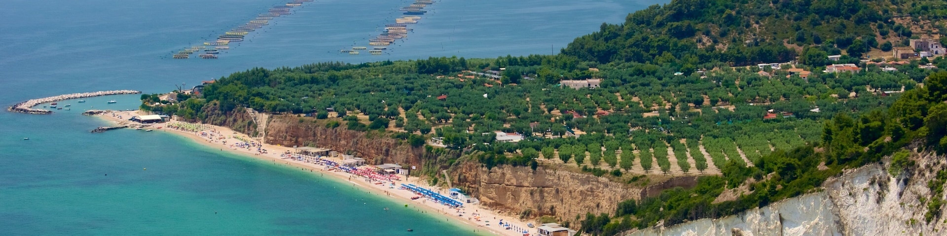 Gargano Peninsula which includes a sandy beach and general coastal views