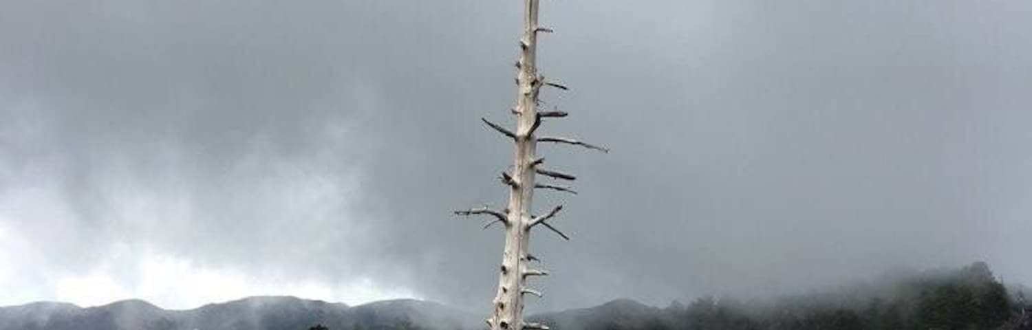 On top of vulcano Etna, a landscape that looks like you are on the moon. An excursion on the Etna is a must-see if you to Sicily. Perfect way to discover it: book a guide and a quad! 
#LifeAtExpexia