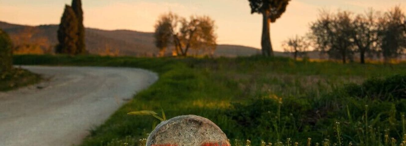 The Via Francigena is the common name of an ancient road and pilgrim route running from France to Rome, though it is usually considered to have its starting point much further away, in the English cathedral city of Canterbury. As such, the route passes through England, France, Switzerland and Italy. The route was known in Italy as the "Via Francigena" ("the road that comes from France") or the "Via Romea Francigena" ("the road to Rome that comes from France"). In mediaeval times it was an important road and pilgrimage route for those wishing to visit the Holy See and the tombs of the apostles Peter and Paul.