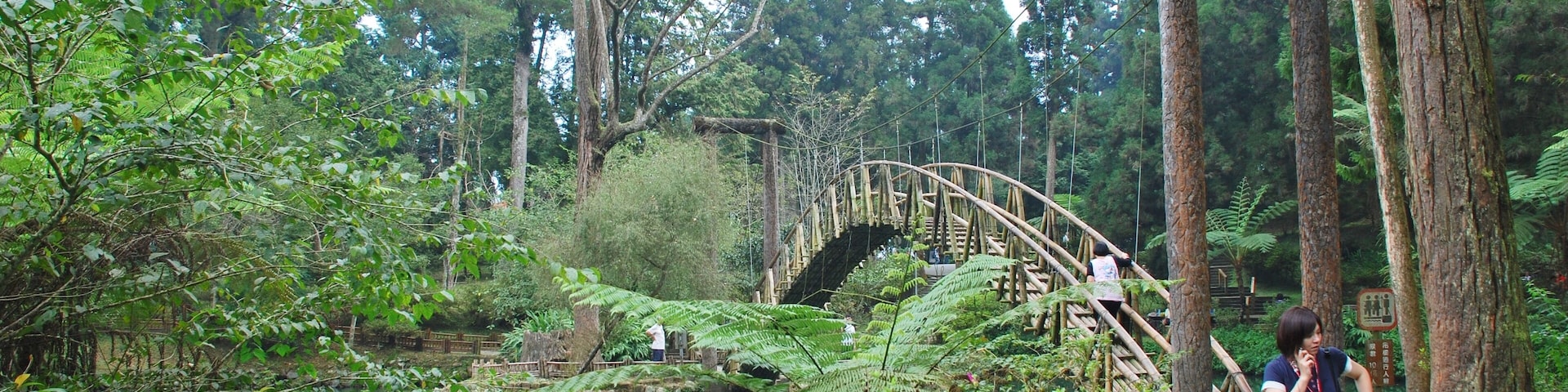 558, Taiwan, 南投縣鹿谷鄉內湖村