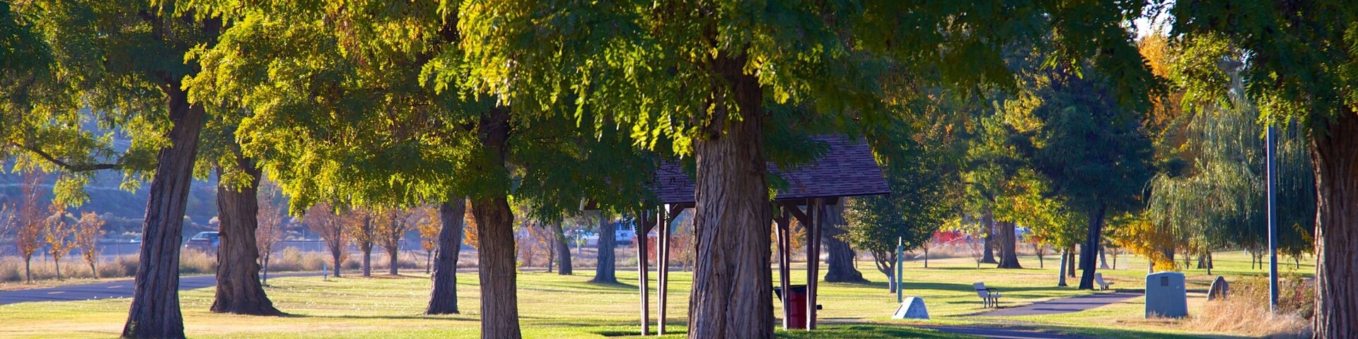 Tri-Cities mostrando um parque