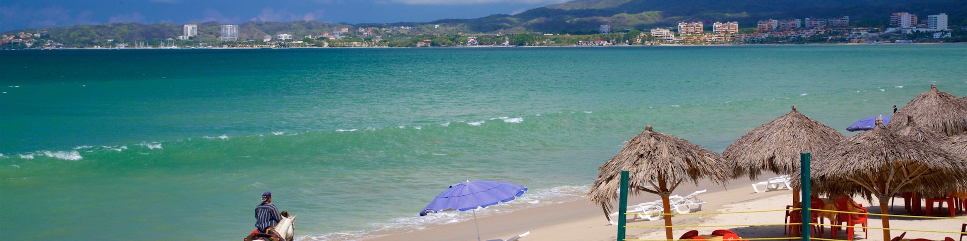 Mexico featuring general coastal views, tropical scenes and horseriding