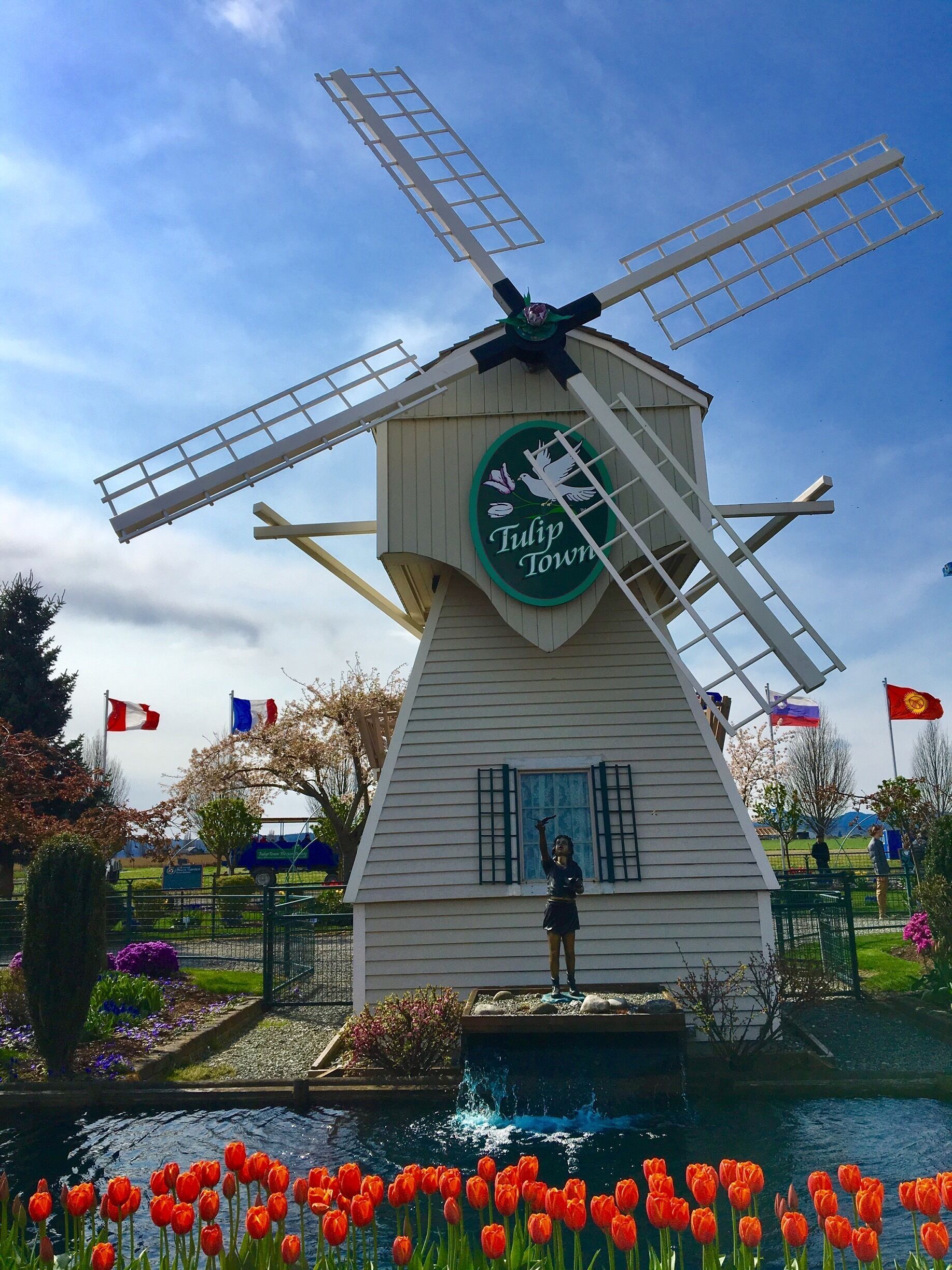 Um moinho de vento com uma placa que diz "Tulip Town" e uma pessoa em frente.