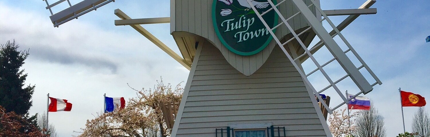 Um moinho de vento com uma placa que diz "Tulip Town" e uma pessoa em frente.