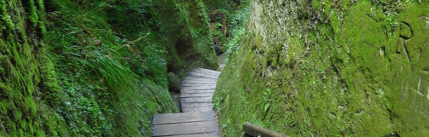 78476 Allensbach, Germany