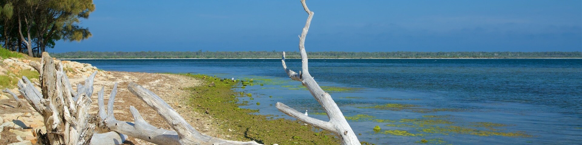 Gippsland featuring a beach and a bay or harbor