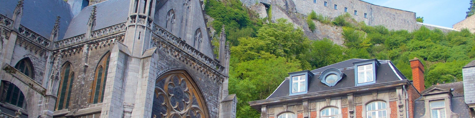 Dinant Cathedral showing a church or cathedral and heritage architecture