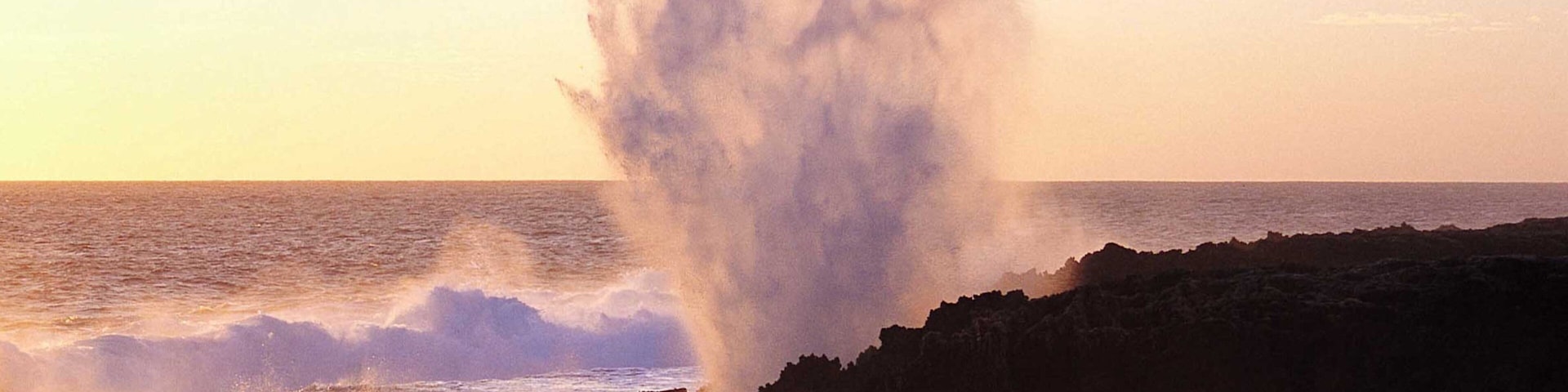 Coral Coast featuring rugged coastline and surf