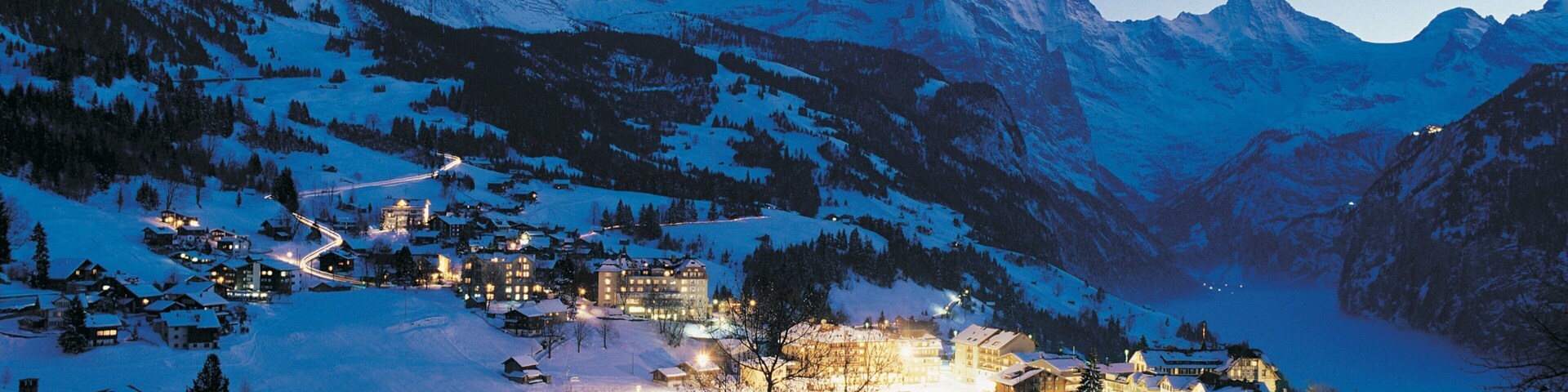Bernese Alps showing snow, night scenes and mountains