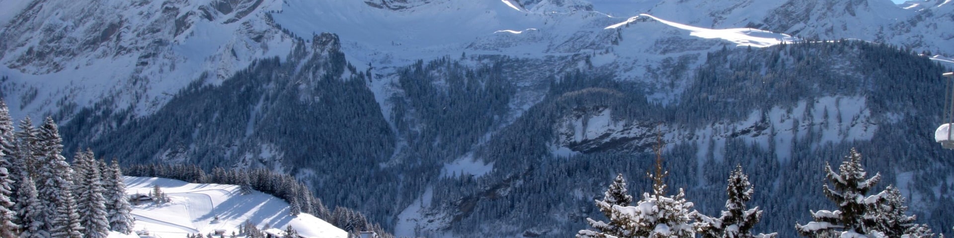 Villars which includes forests, snow and mountains