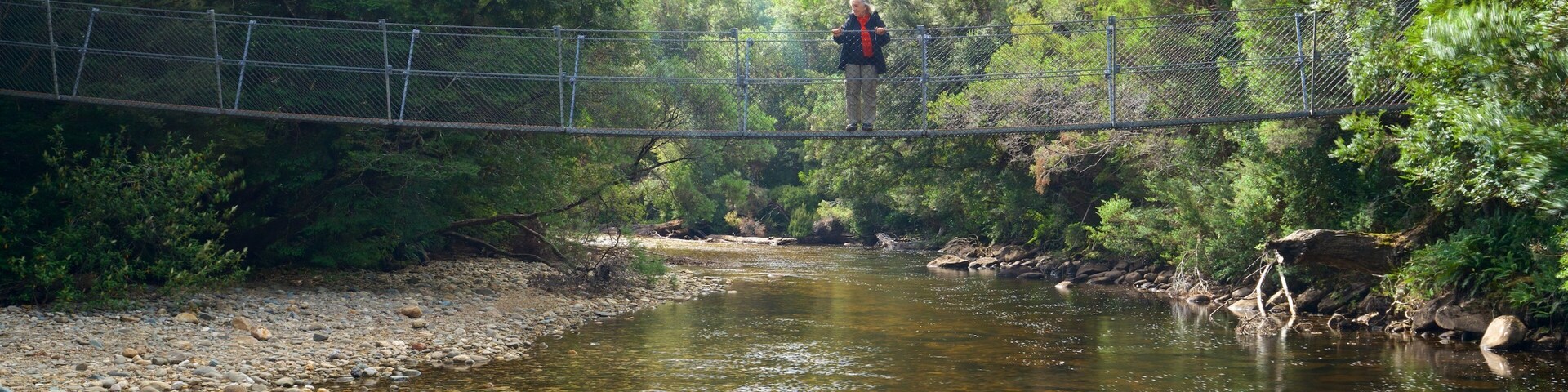 Midlands featuring a river or creek and a suspension bridge or treetop walkway as well as an individual femail