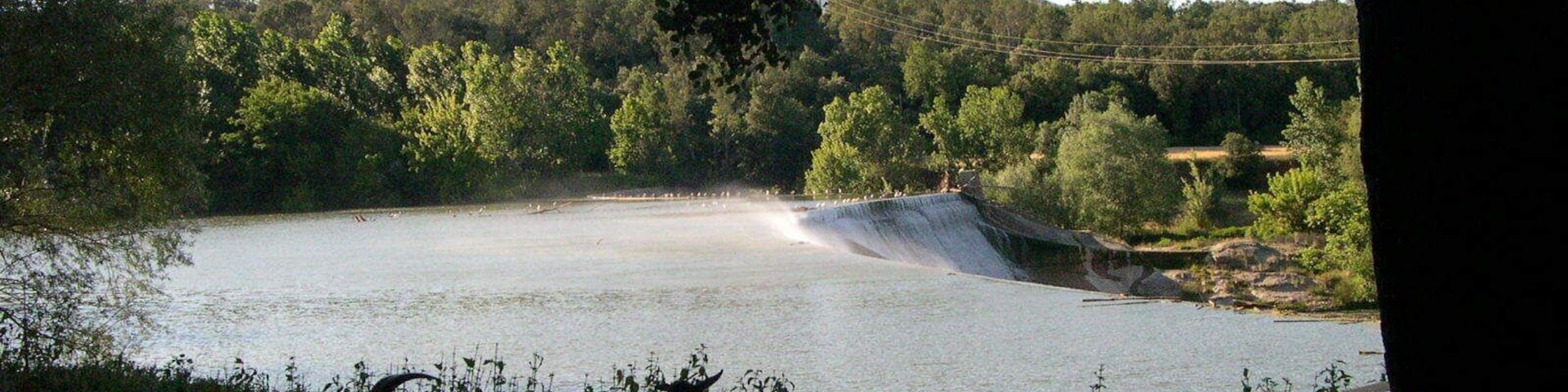 This is a a photo of a wetland in Catalonia, Spain, with id: