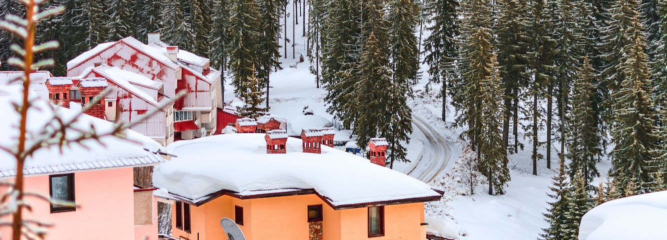 Perfect winter vacation.